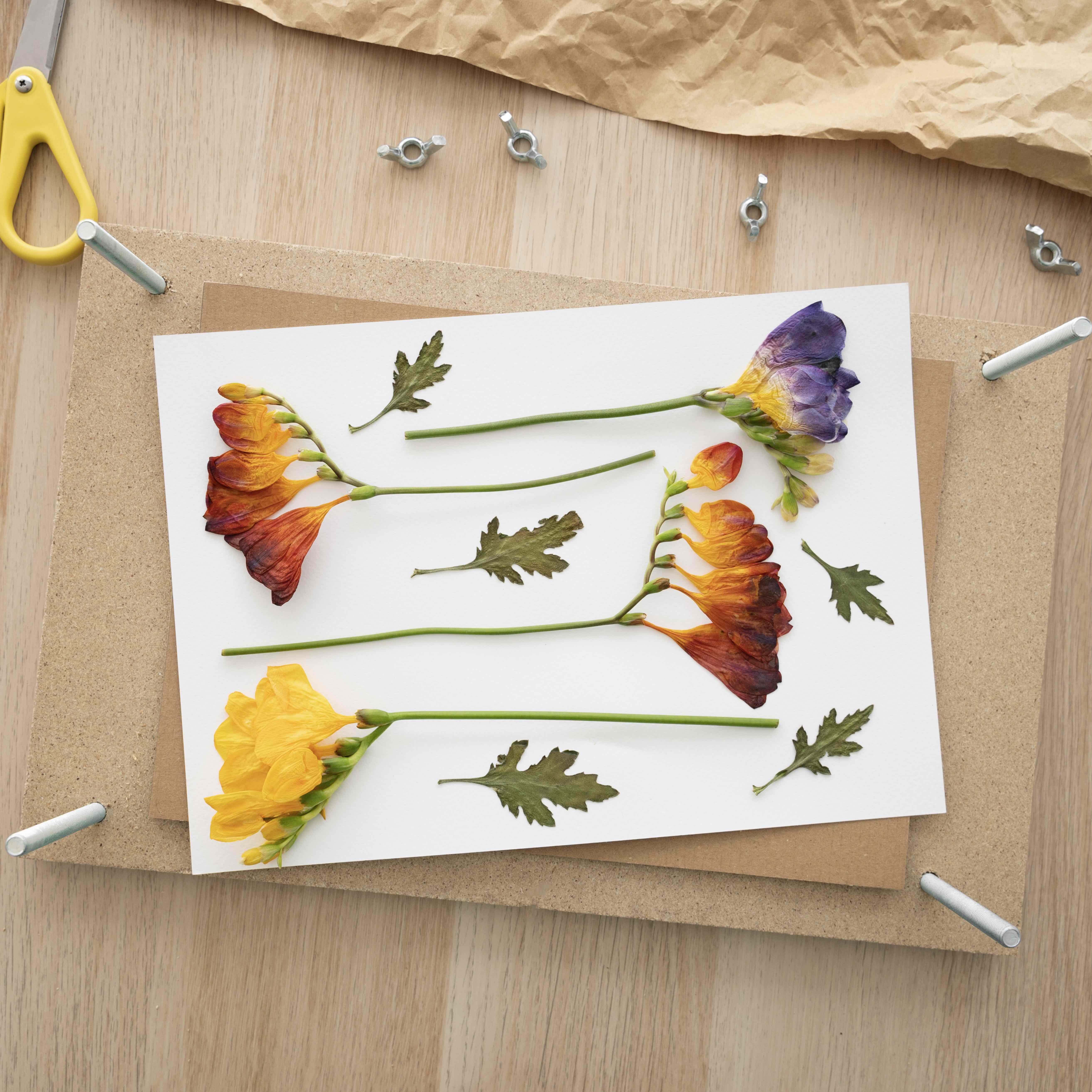 Fleurs de Villes Journal - Pressed for Success: the Art of Pressing Flowers