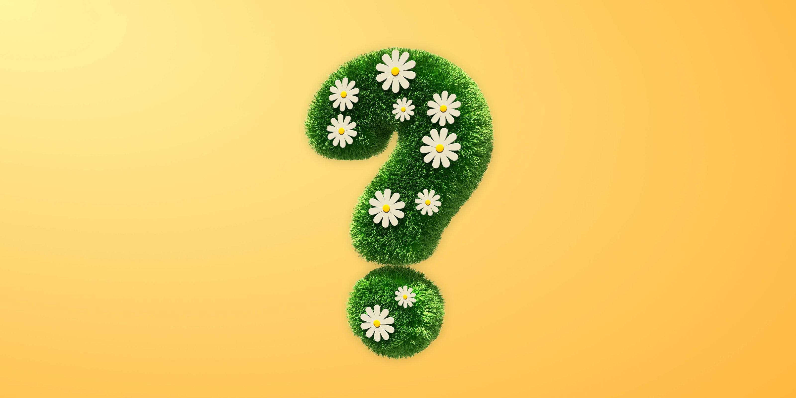 9 Spring Icebreaker Questions for the Office | Confetti 🎉