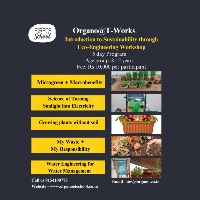 Environmental Sustainability Workshops & Experiential Learning in ...