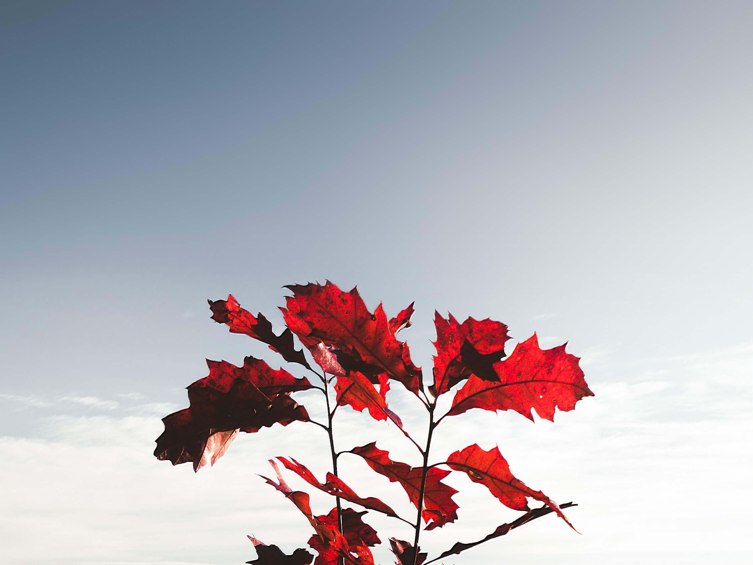 How to Assess High-Potential: Look for these 6 Characteristics