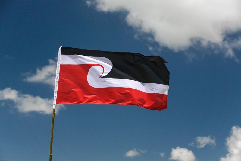 Find Aotearoa New Zealand Charities | Over 50 Charity Types | Chive