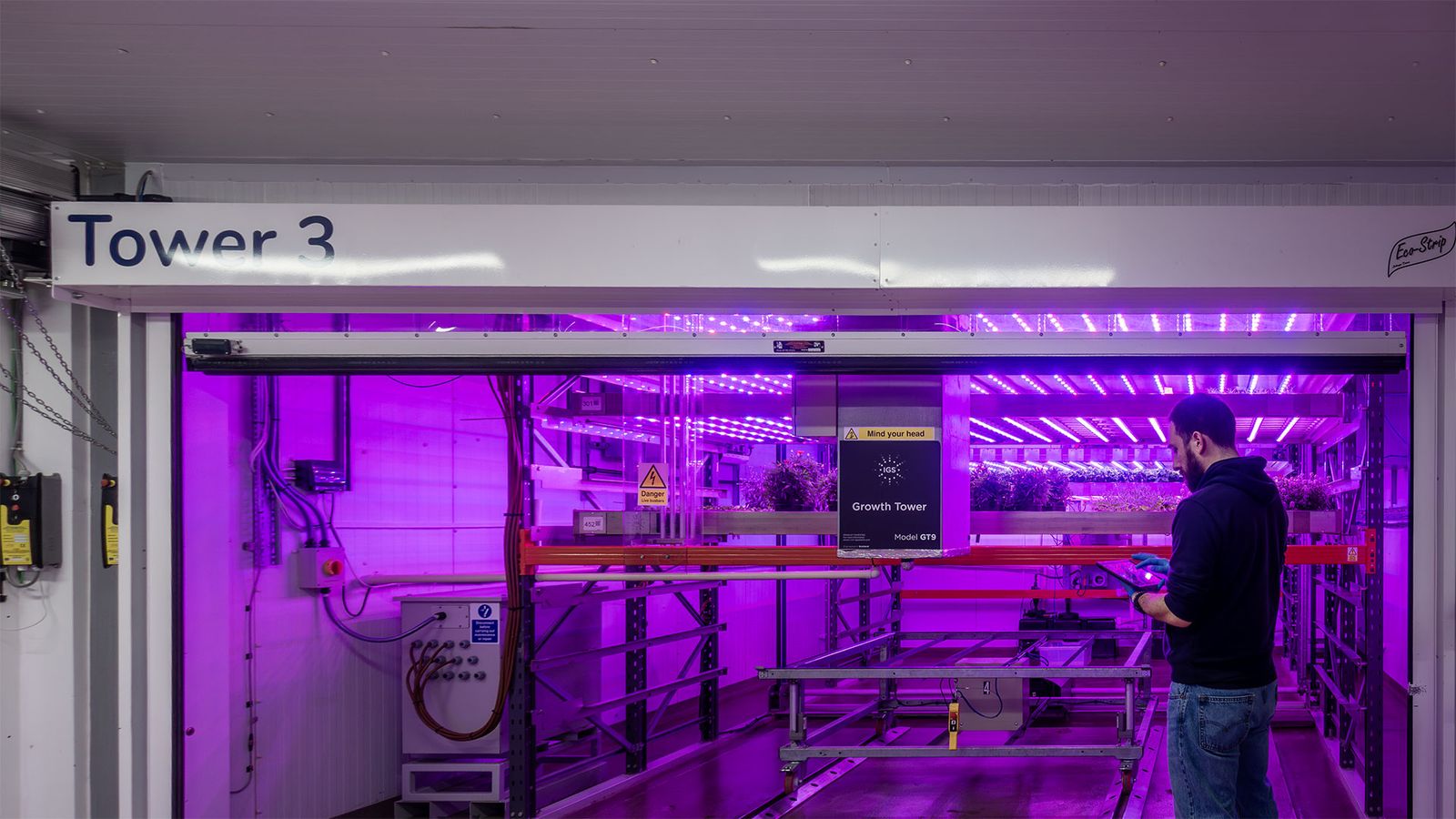 Intelligent Growth Solutions | Global Vertical Farming Technology