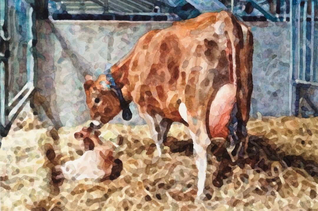 Portfolio - Allan Otte