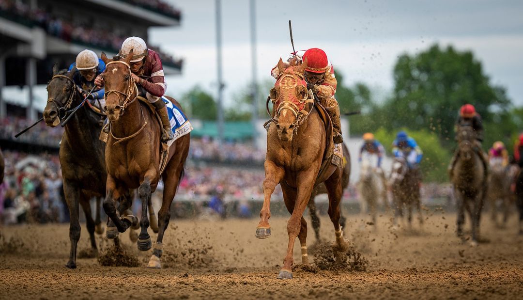FREE HORSE RACING PICKS | 1/ST POST