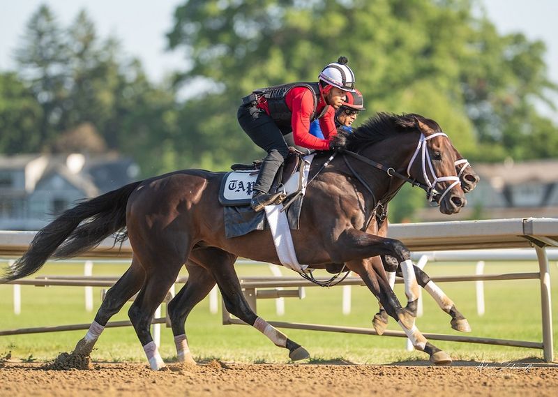Jon White: 2024 Belmont Stakes Selections - 1/ST BET NEWS