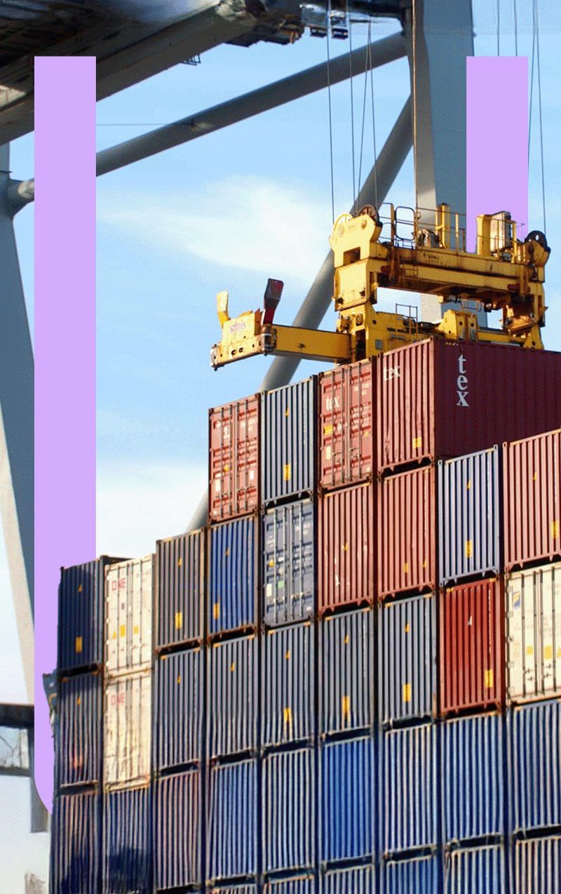 Generaties: bestaan ze eigenlijk wel? :: Universiteit van Nederland