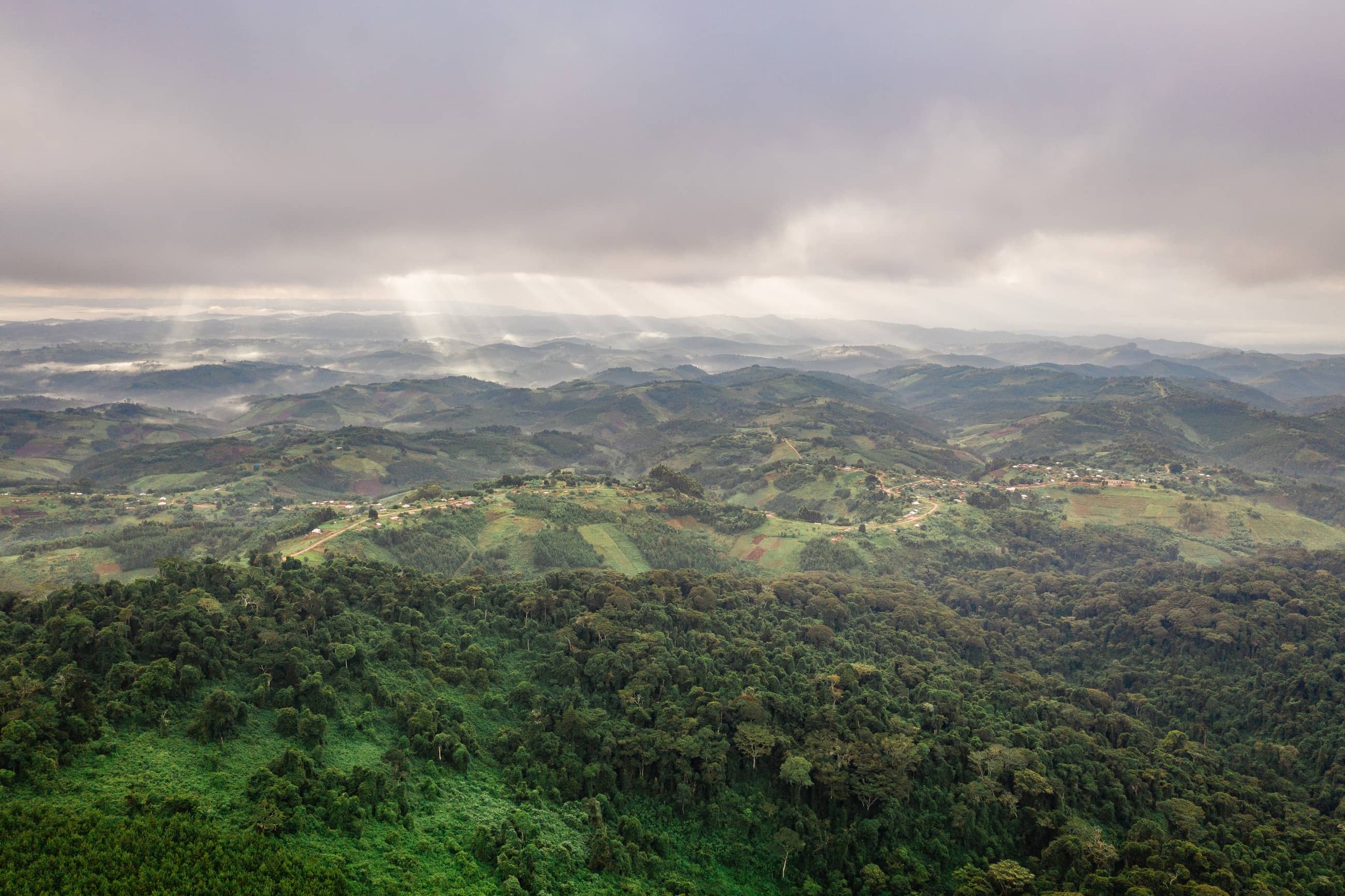 Village Schools International