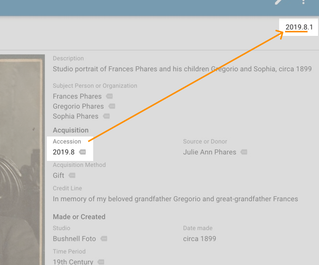 MasterIt | Numbering Museum Objects and Personal Collections - CatalogIt