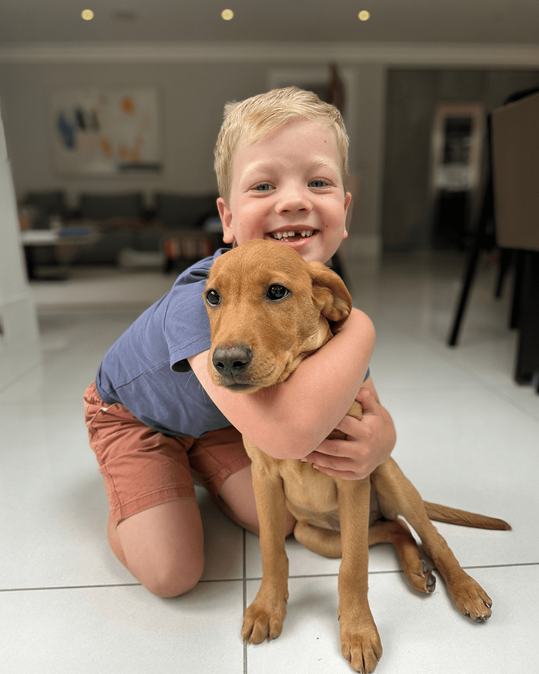 Applications now open for our home-based Autism Assistance Dog ...
