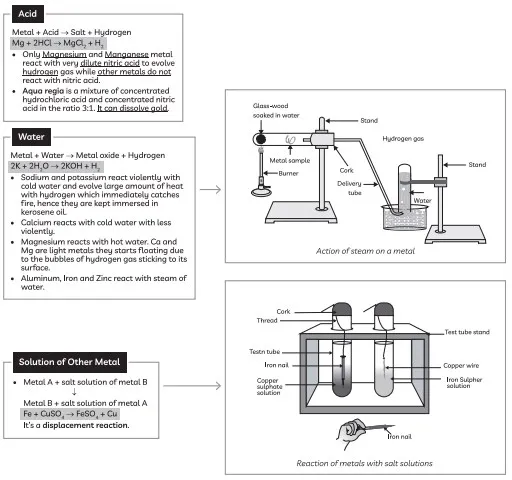 Class 10 Science Cheat Sheet | A Quick Reference Guide