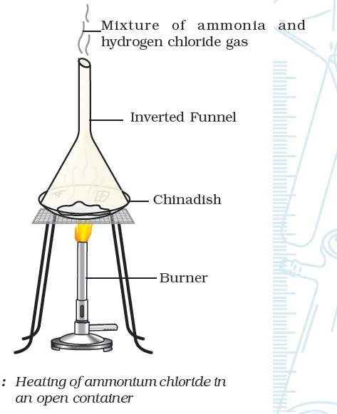 Lab Manual Class 10 Science NCERT with Solutions