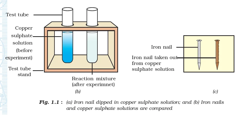 Lab Manual Class 10 Science NCERT with Solutions