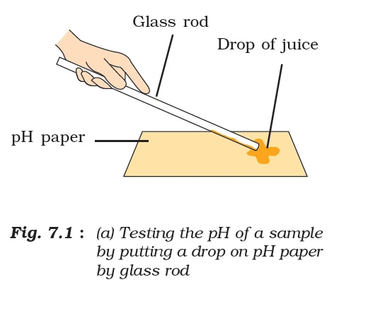 Lab Manual Class 10 Science NCERT with Solutions