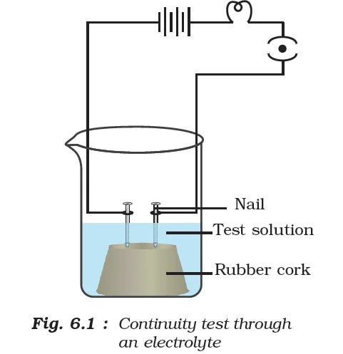 Lab Manual Class 10 Science NCERT with Solutions