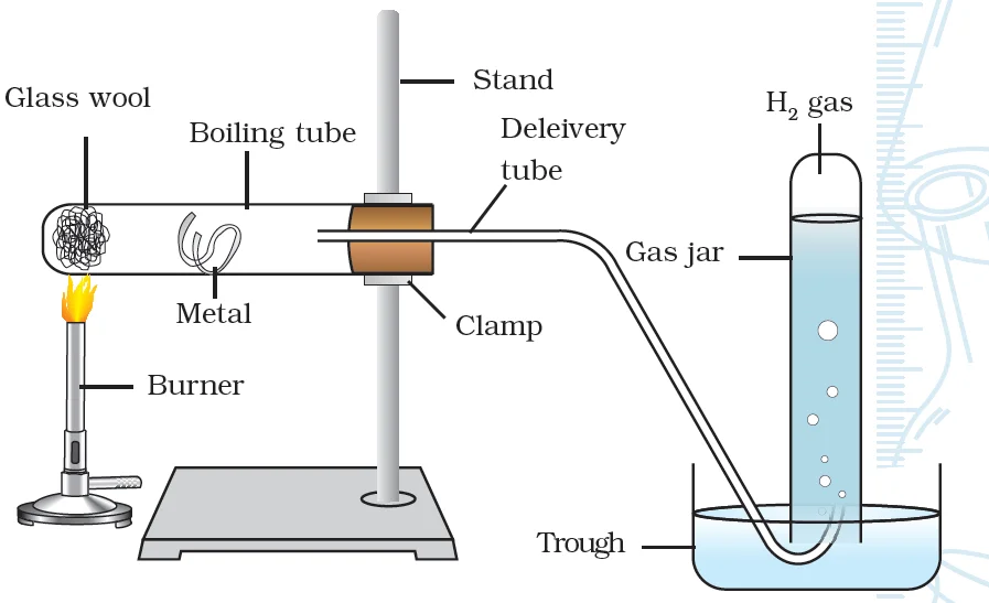 Lab Manual Class 10 Science NCERT with Solutions