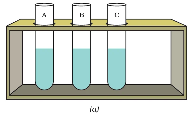 Lab Manual Class 10 Science NCERT with Solutions
