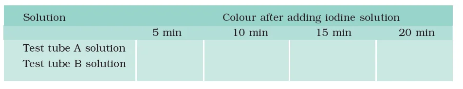 Lab Manual Class 10 Science NCERT with Solutions