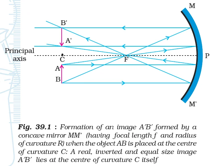 Lab Manual Class 10 Science NCERT with Solutions