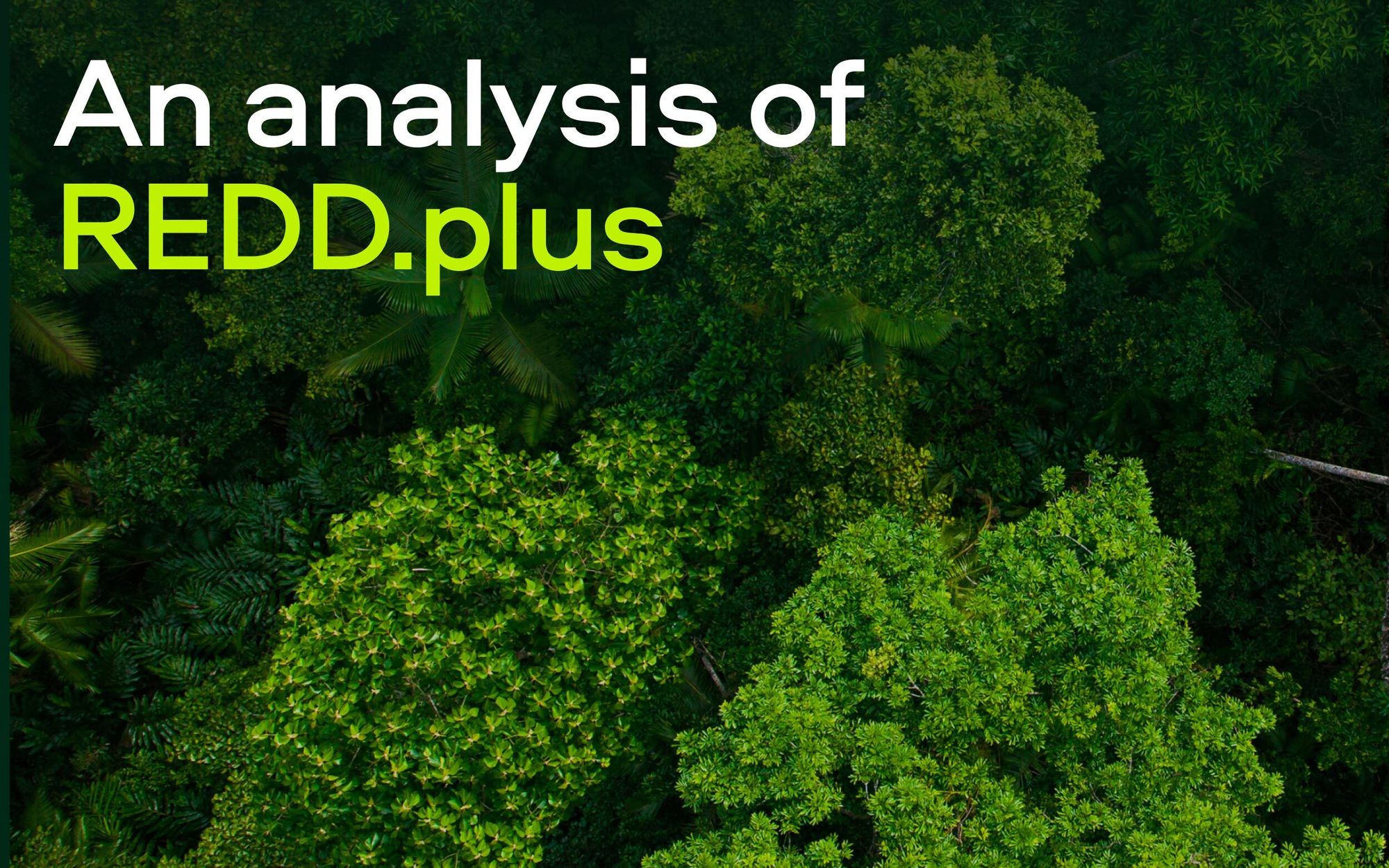 REDD.plus - the good, the bad, and the confusing