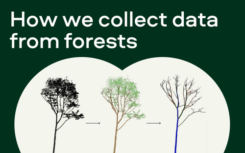 How we're building the world's most accurate dataset on the carbon ...