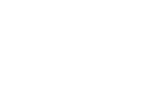 Ellio - Sustainable development consulting agency