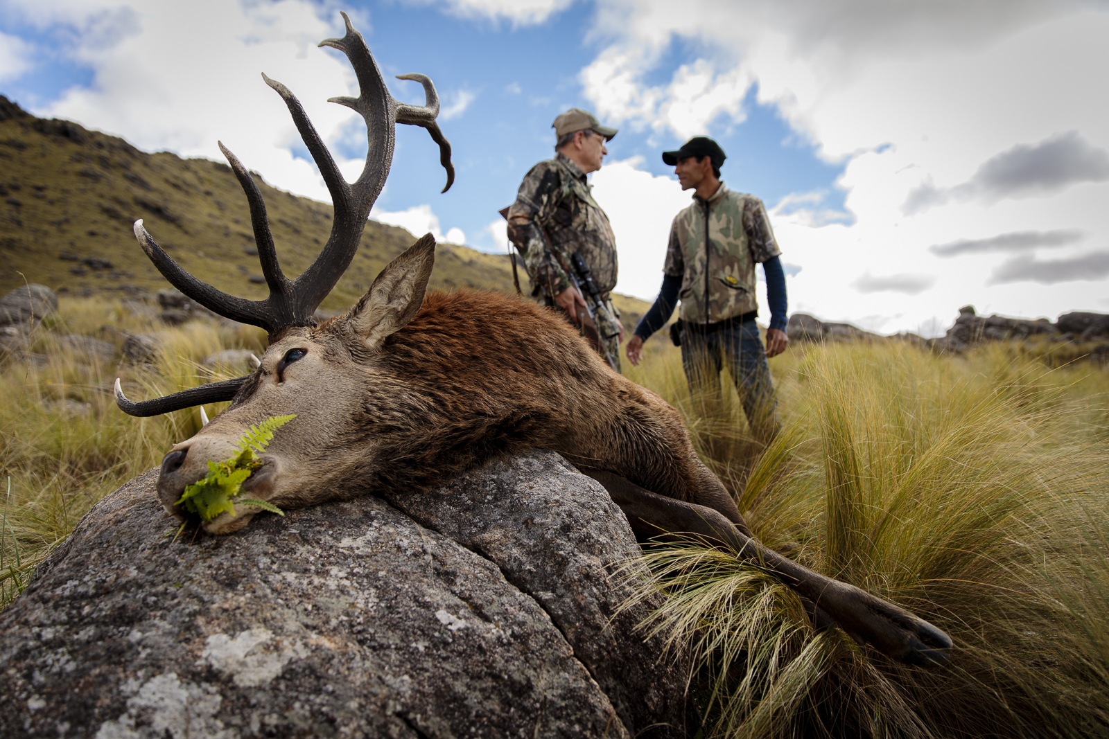 Best Argentina Big Game Experience