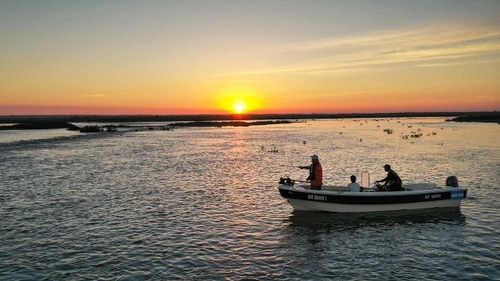 Argentina Dove Hunting Packages [Best Deal In Town]