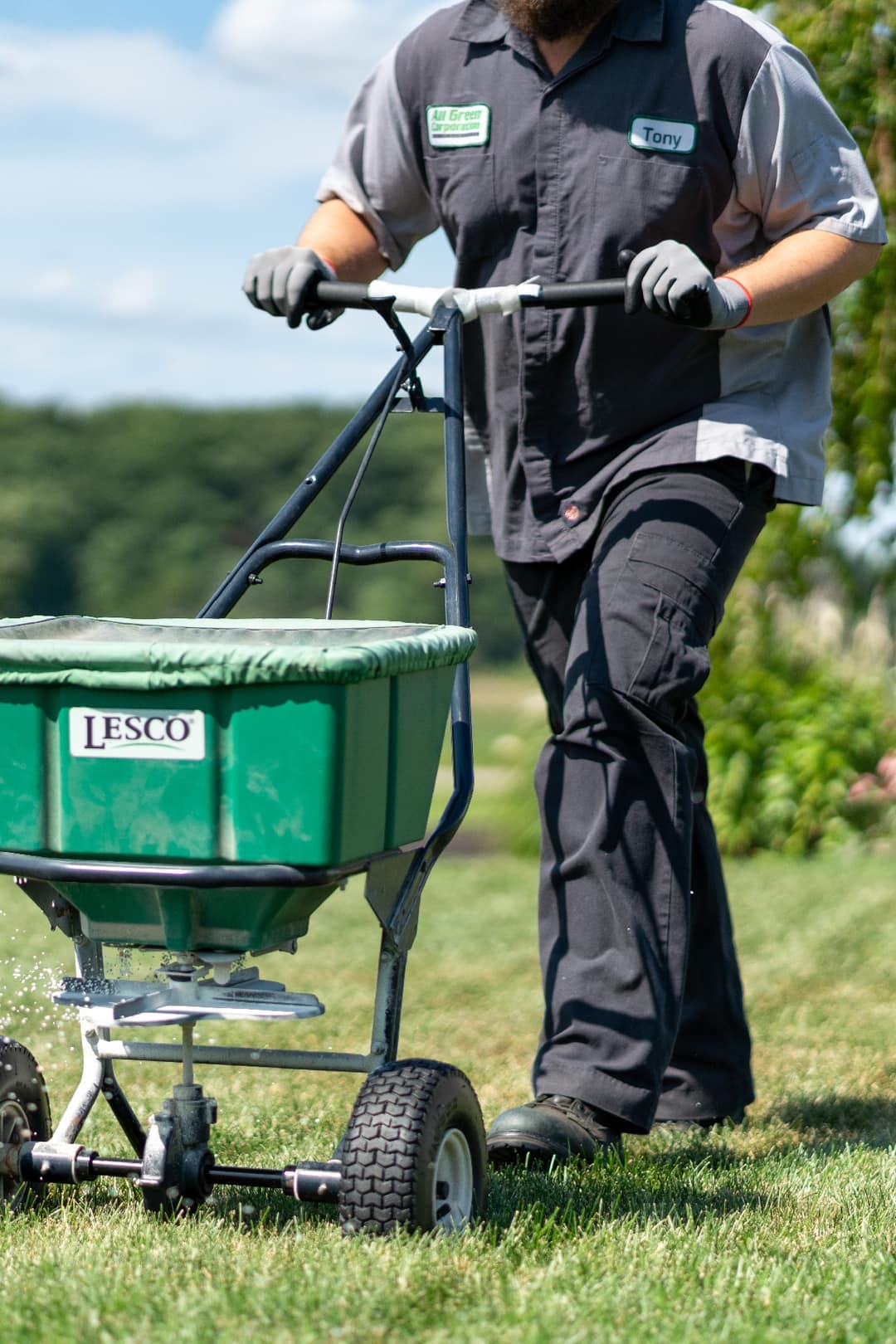 All Green Lawn Care | Fertilizer, Pest Control & Tree Care