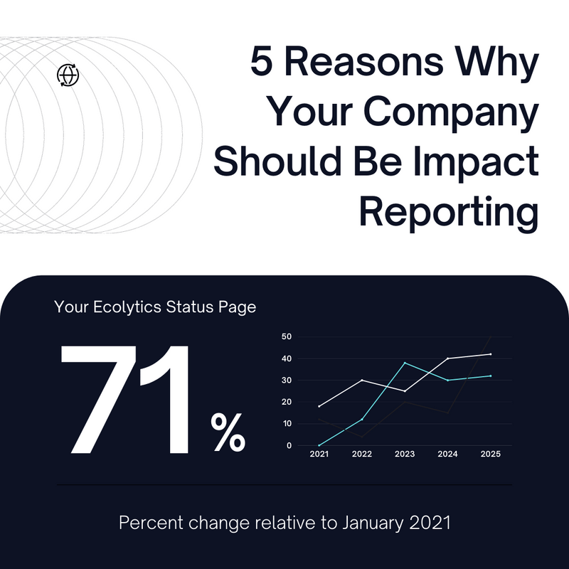5 Reasons Why Your Company Should Be Impact Reporting