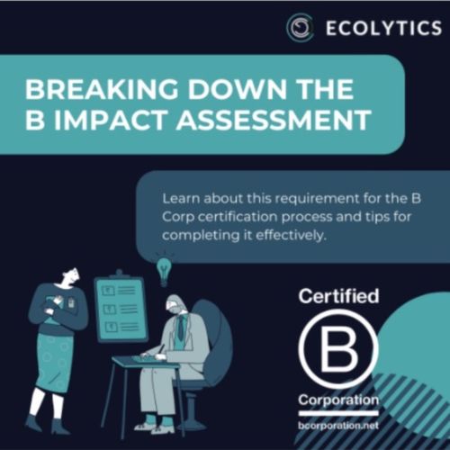 Breaking Down the B Impact Assessment
