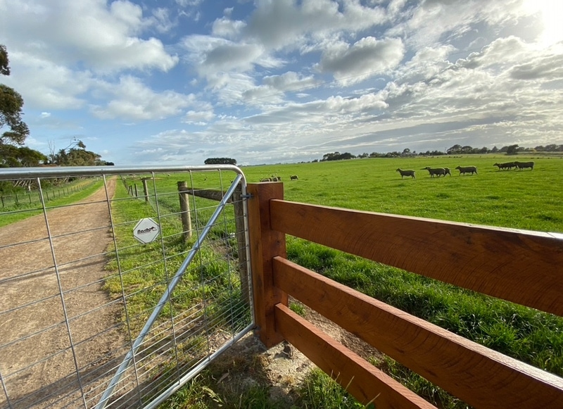 DGAL75SQ-5 - 75x75 Duragal SHS x 5mm wall thickness 1-metre | BosAg Rural