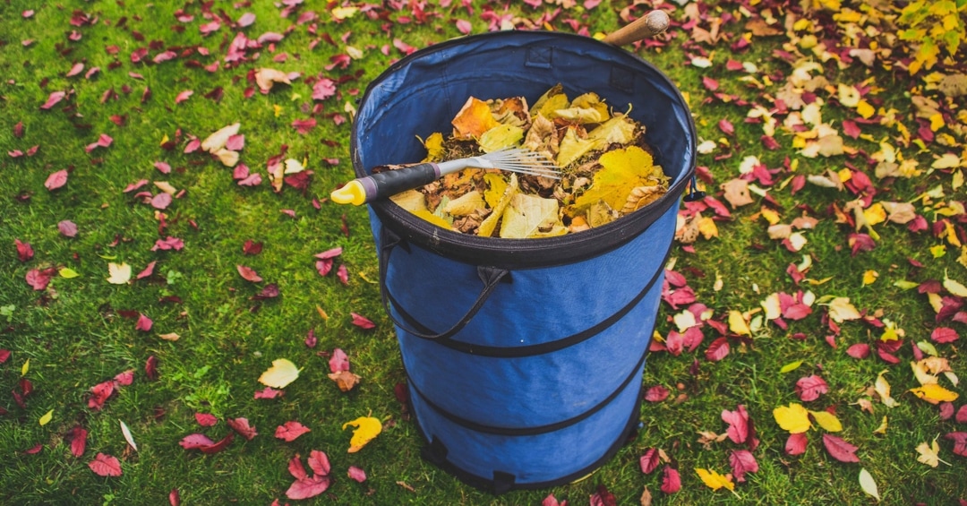 How to Ethically and Sustainably Dispose of Your Yard's Leaves This Autumn
