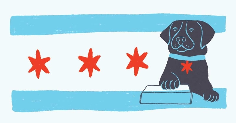 Staying Pawsitive: The Best Good News Stories About Dogs