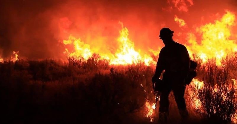 Helping Forest Firefighters Battle a Different Kind of Burnout