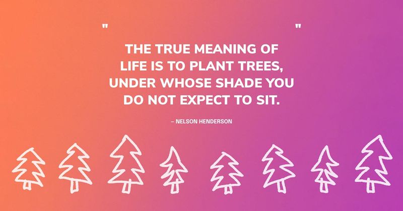 The 77 Absolute Best Quotes About Trees