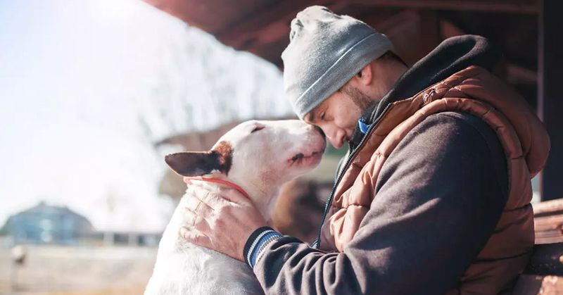 10 Heartwarming Stories About Dogs Saving Humans' Lives