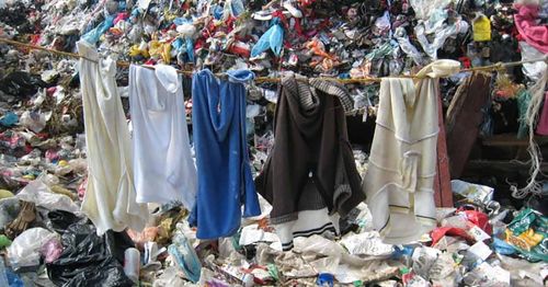 How Long It Takes 50+ Common Items To Decompose