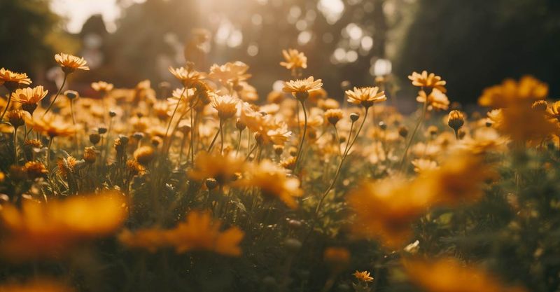 77 Inspiring Quotes for the Month of June