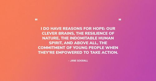 71 Best Resilience Quotes for Bouncing Back