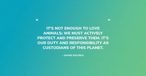 92 Best Quotes About Animal Rights — To Help Fight Cruelty