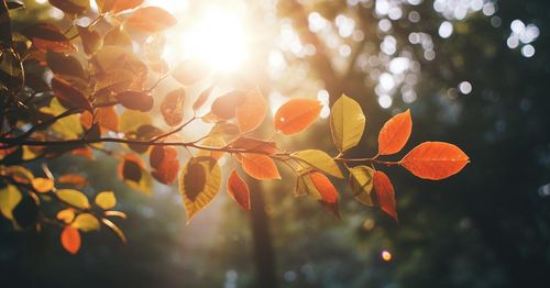 85 Inspirational September Quotes (2024)