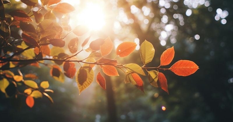 85 Inspirational September Quotes (2024)