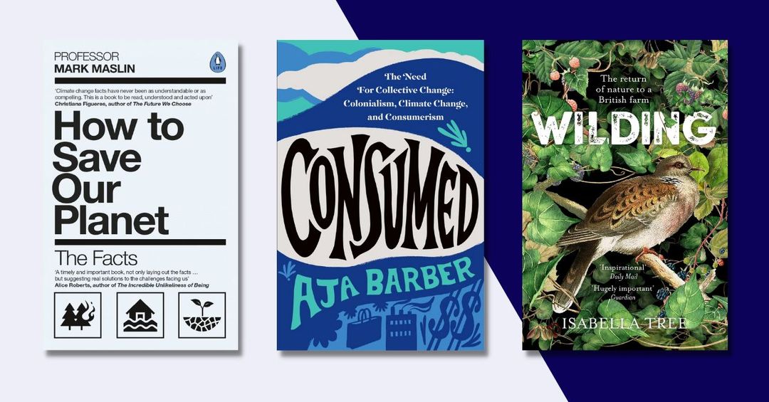 32 Best Books About Sustainability