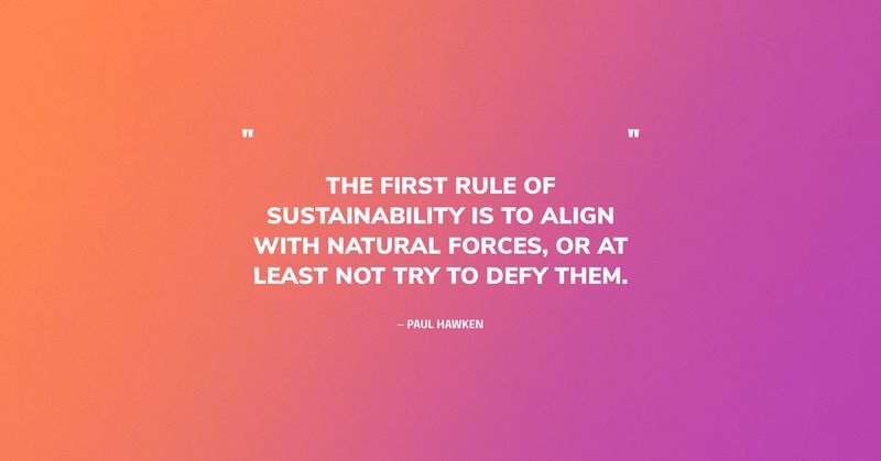 79 Best Sustainability Quotes To Inspire Action