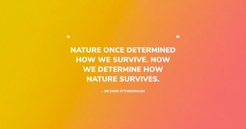 64 Most Inspiring Quotes from Sir David Attenborough