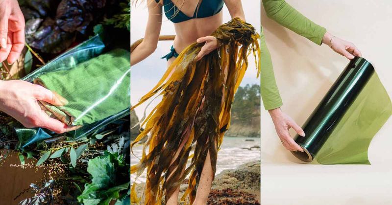 This California startup is replacing plastic bags with seaweed-based ...