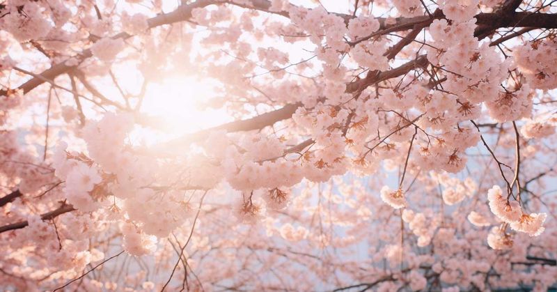 72 Inspirational Quotes for the Month of April