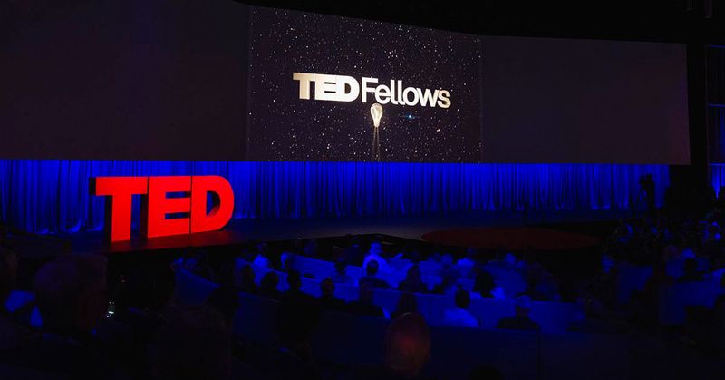 Meet the 11 global world-changers in the 2024 TED Fellows cohort