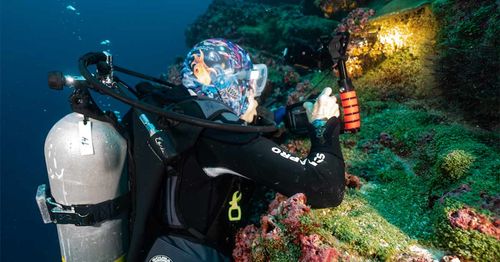 Sylvia Earle's optimism fuels record growth in 'Hope Spots' for ocean ...