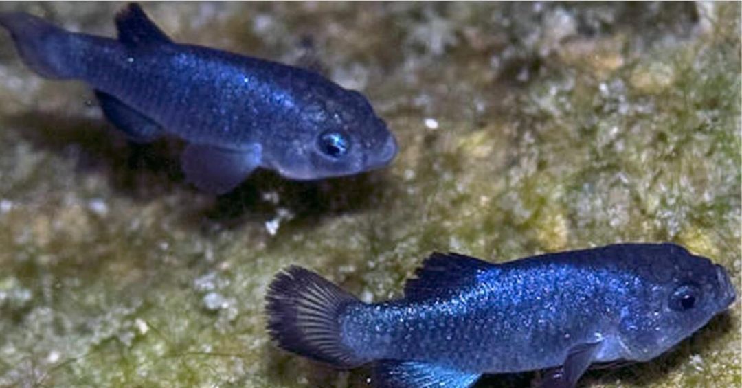 Latest Good News — Good Good Good